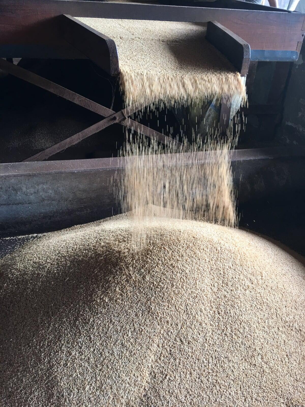 About us | Organic Roots Myanmar